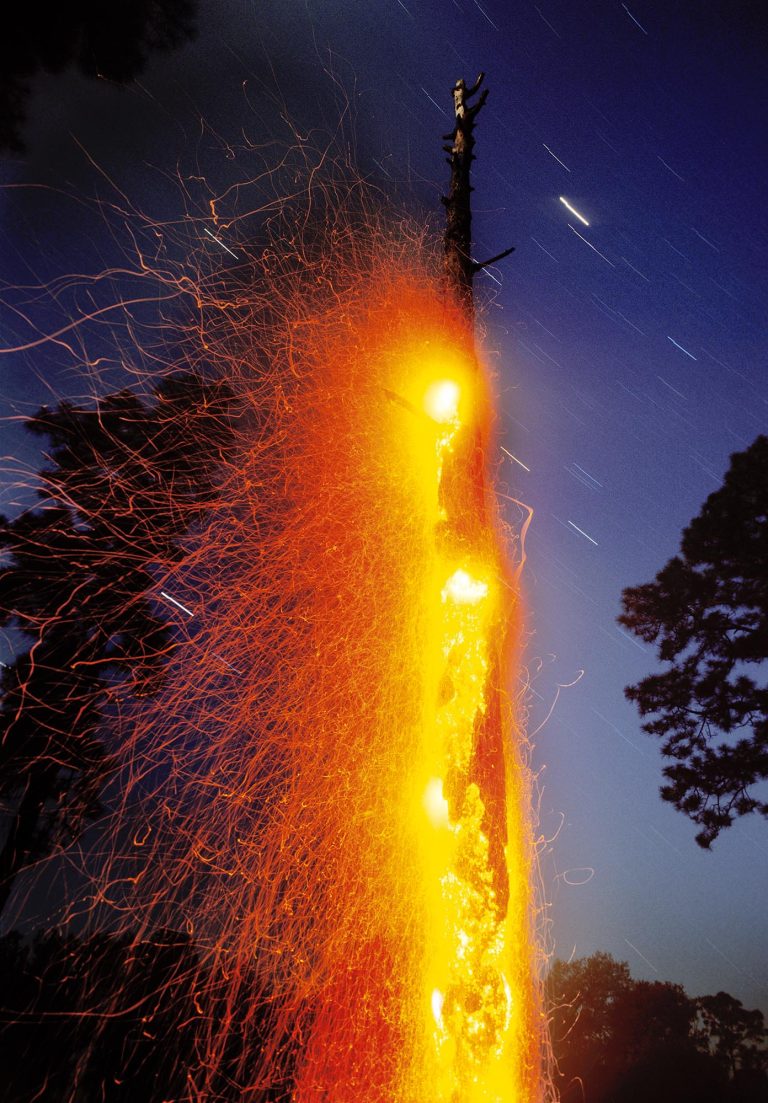 Woods - Jones Center