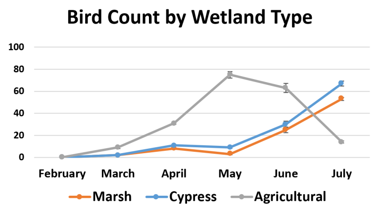 Wading Bird Use of Wetlands in Natural and Agricultural Settings in the ...