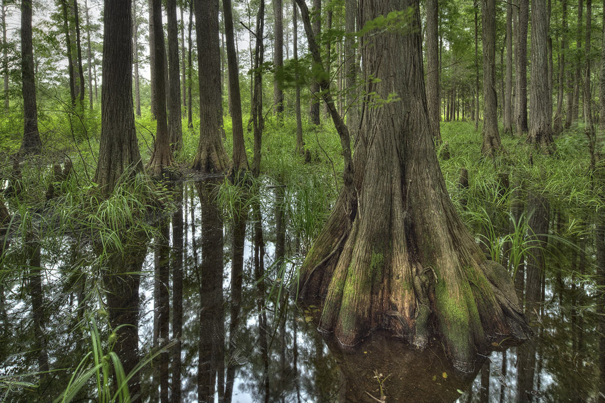 Water - Jones Center