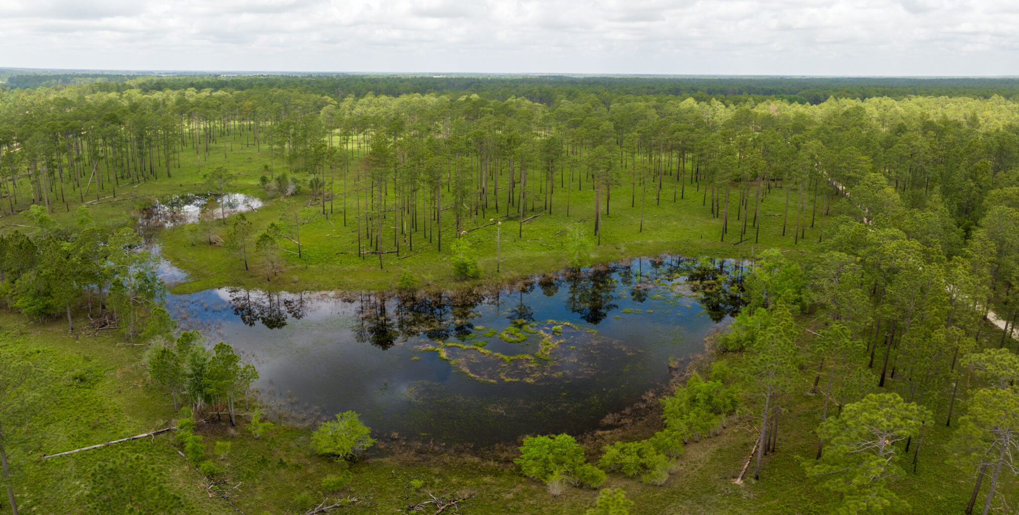 Under the Surface: Ecohydrology Students Take a Closer Look at Wetland ...
